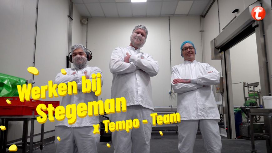 Werken bij Stegeman | Tempo-Team